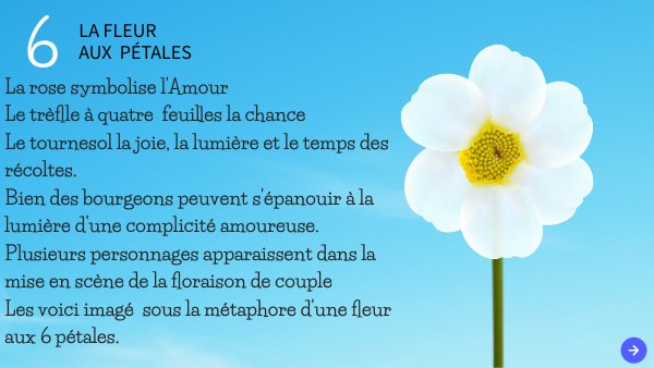 LES 10 CHOSES QUE VOUS NE SAVEZ PAS DES MARGUERITES LES 10 CHOSES QUE VOUS NE SAVEZ PAS DES MARGUERITES
