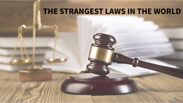 STRANGE LAWS | Genially
