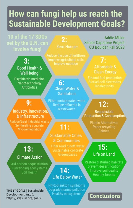 How can fungi help us reach the SDGs? | Genially