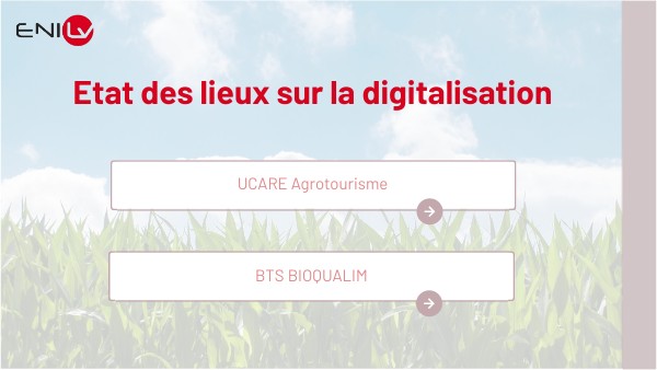 Etat des lieux digitalisation | Genially