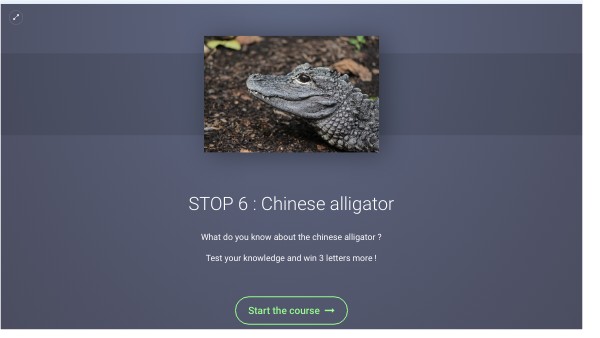 alligator | Genially