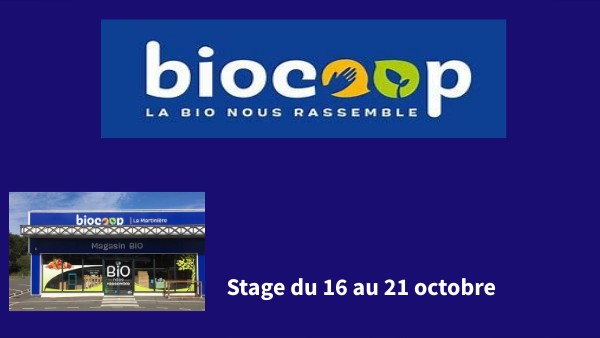 diapo stage biocoop | Genially