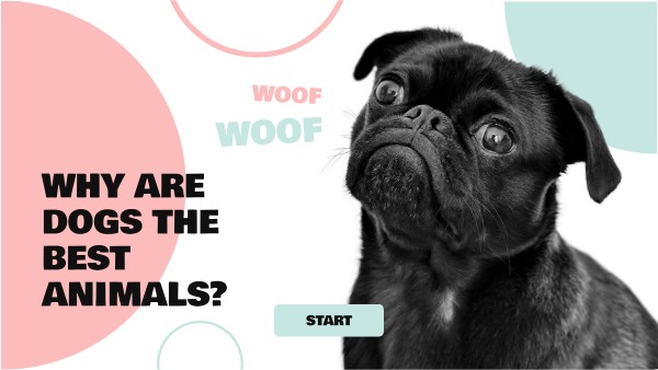 WHY ARE DOGS THE BEST ANIMALS?