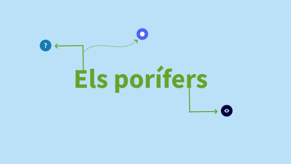 Els porífers | Genially