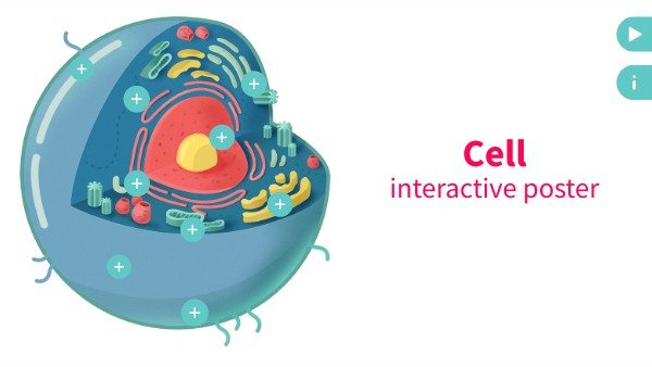 Interactive cell poster | Genially