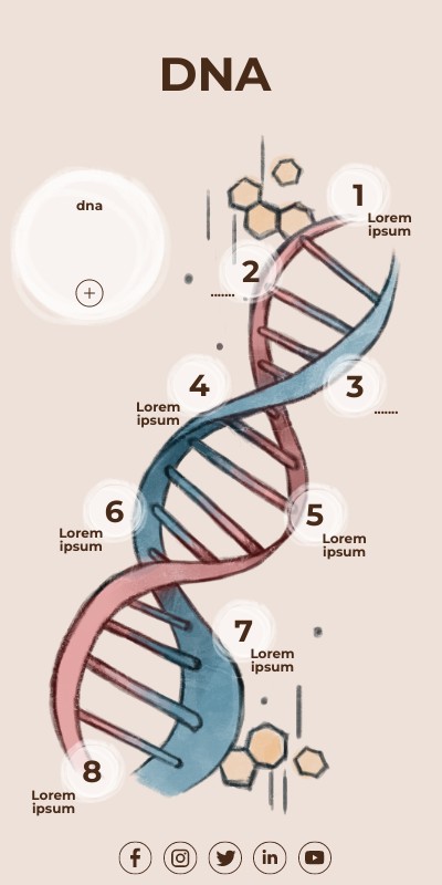 DNA VERTICAL INFO
