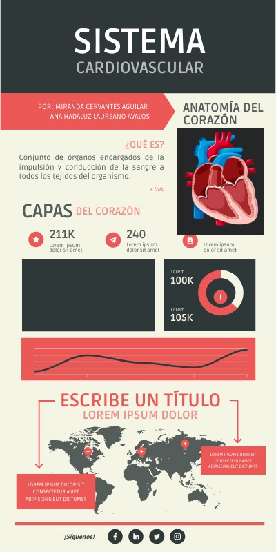 Infografía Sistema Cardiovascular | Genially