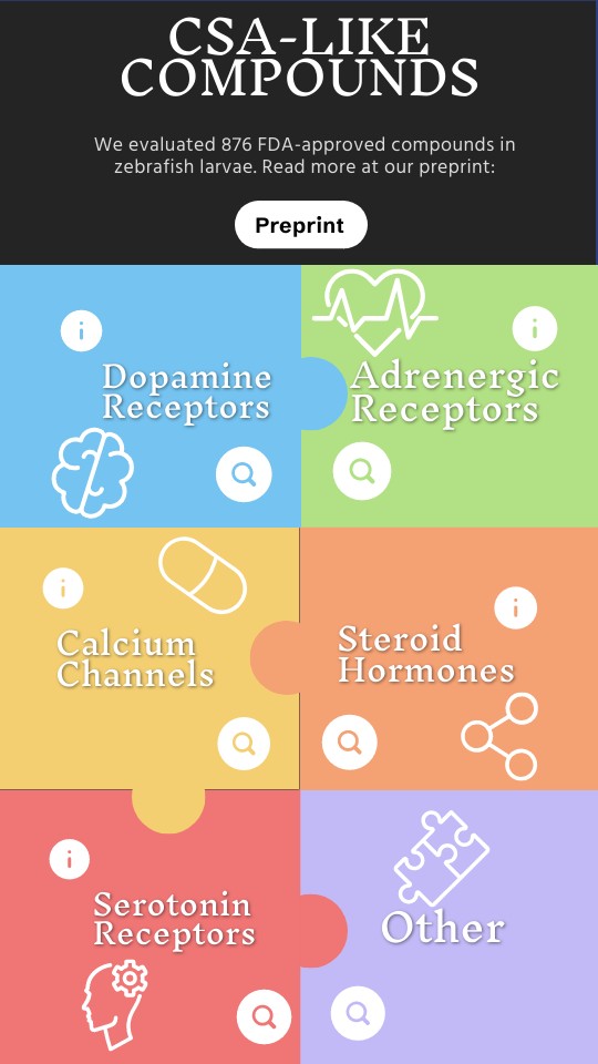 CsA-Like Compounds | Genially