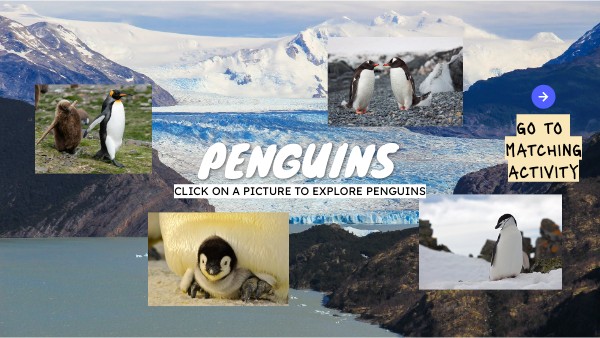 A Lesson in Penguins | Genially