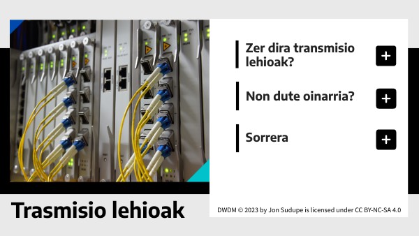 Fibra optikoan sakontzen IRISGARRIA