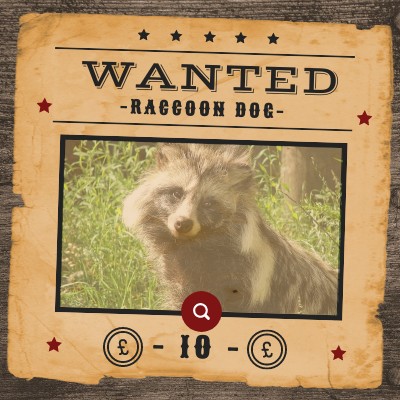 Wanted interactive card | Genially