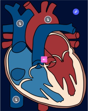 Corazón