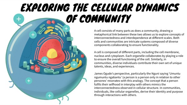 Exploring the Cellular Dynamics of Community