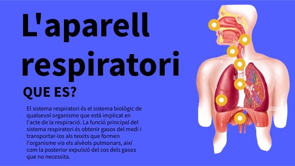 Essential Interactive Image