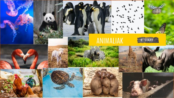 ANIMALIAK | Genially
