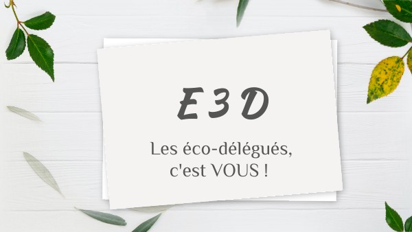 ECO DELEGUES CLG | Genially