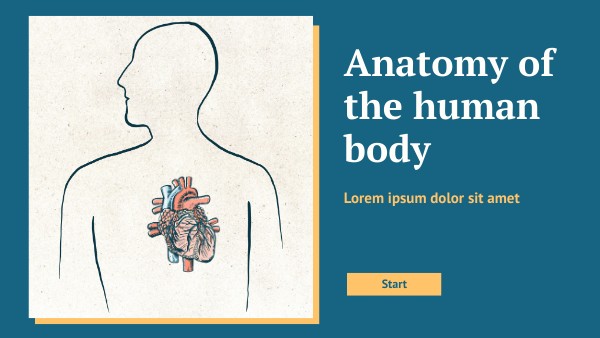 ANATOMY OF THE HUMAN BODY | Genially