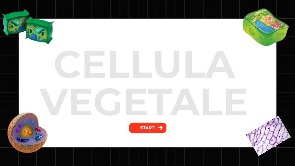 Cellula vegetale