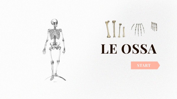 LE OSSA