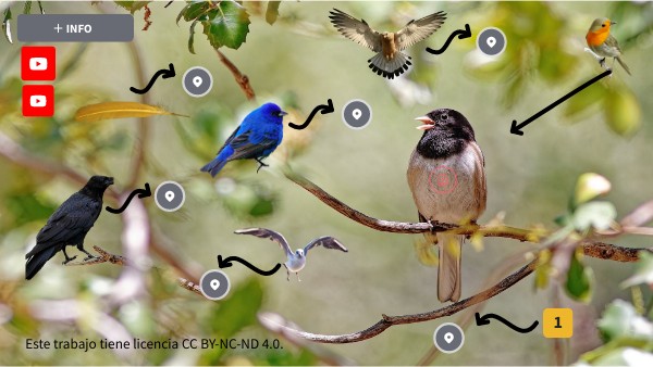 Projecte: Els ocells | Genially