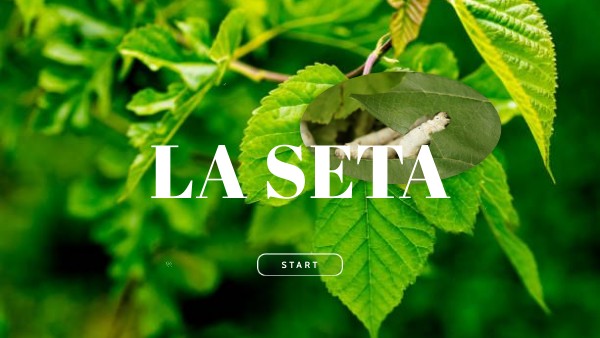 La seta | Genially