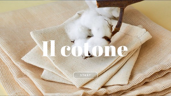 Il cotone | Genially