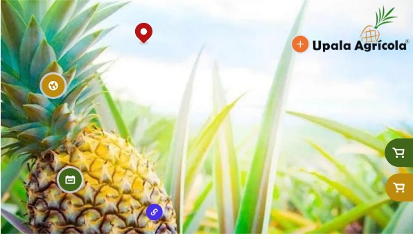 Upala Agrícola | Genially