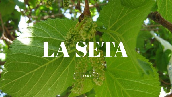 LA SETA | Genially