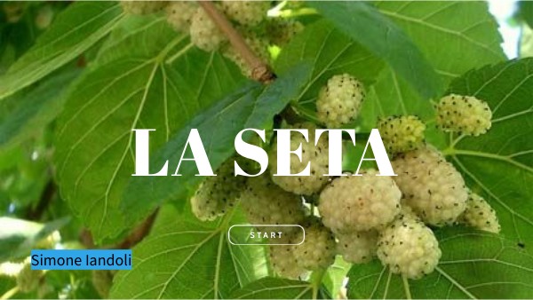 LA SETA | Genially