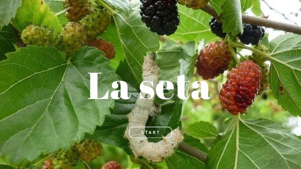 NATURE PRESENTATION | Genially