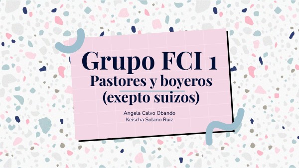 Grupo FCI 1