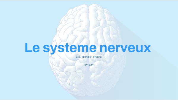Le systeme nerveux | Genially