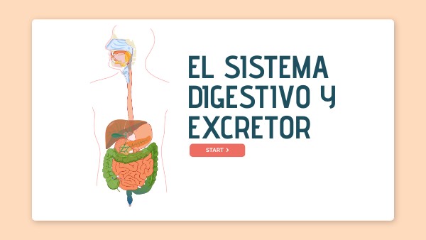 LOS SISTEMAS DIGESTIVO, URINARIO Y EXCRETOR | Genially