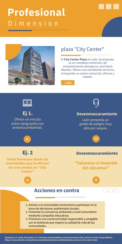 dimensión PROFESIONAL