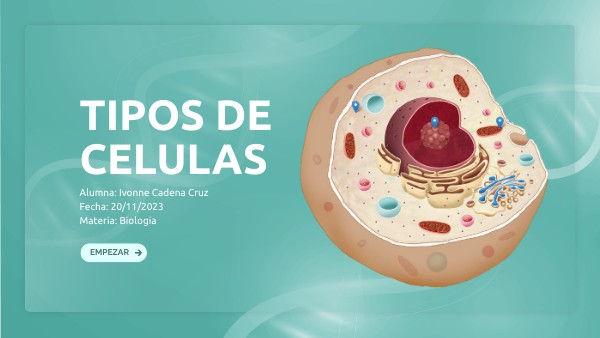 Tipos de celula | Genially