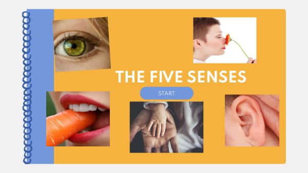 The Five Senses | Genially