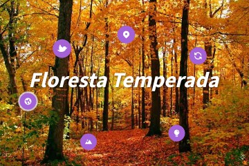 Floresta Temperda