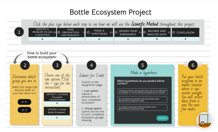 Q4W3 Bottle Ecosystem Project Instructions