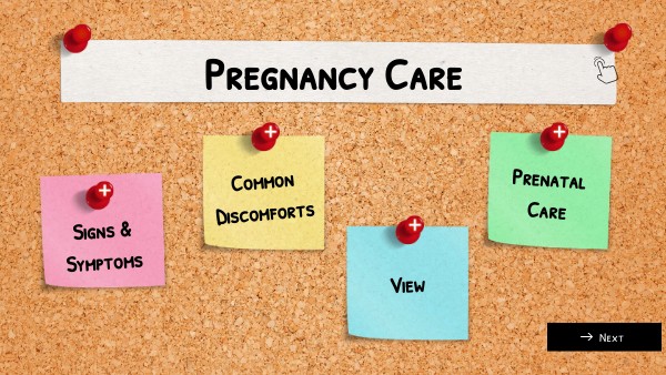 Pregnancy Care and Complications | Genially