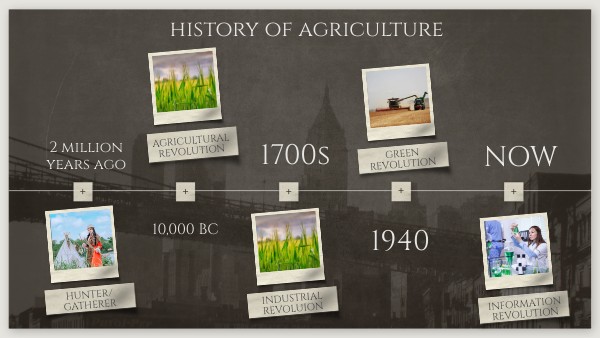 Q4W2_World Population Timeline