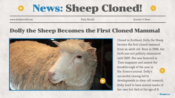 *Q3W8Clone | Genially