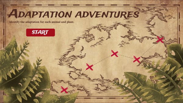 *Adaptation Adventure | Genially