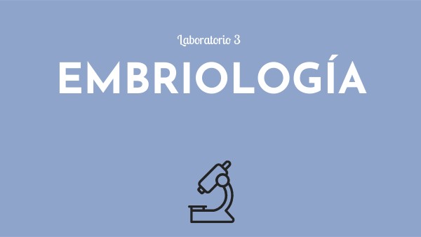 TIMELINE lab 3 | Genially