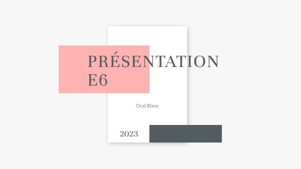 presentation e6