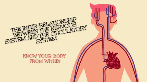 Human Body Presentation