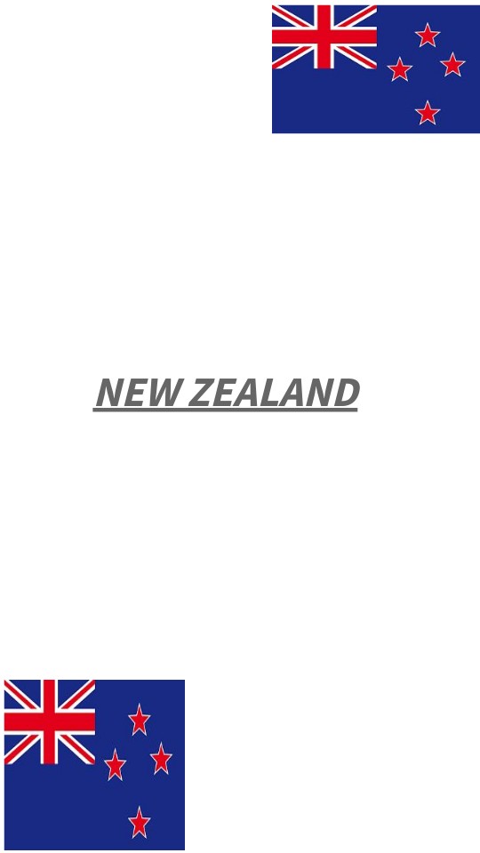 Basic Presentation Mobile Genially