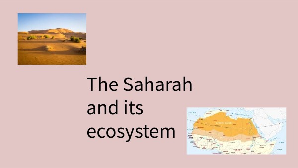 Saharah and its ecosystem