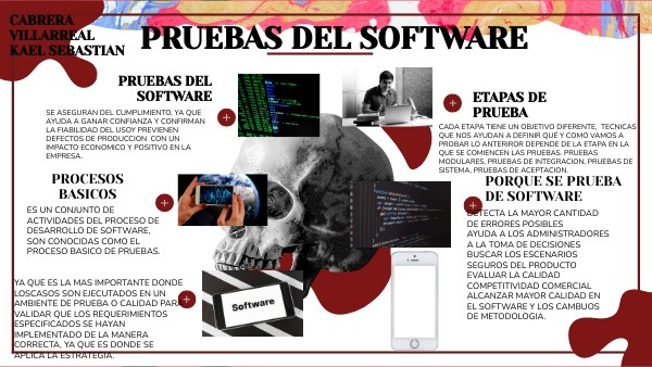 PRUEBAS DEL SOFTWARE