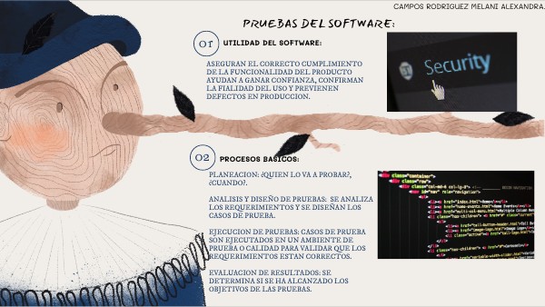 PRUEBAS DEL SOFTWARE