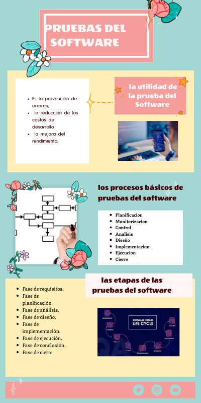 PRUEBAS DEL SOFTWARE